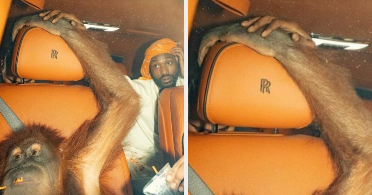 Photo of Meek Mill Holding Hands With Monkey and Looking Confused Has ...