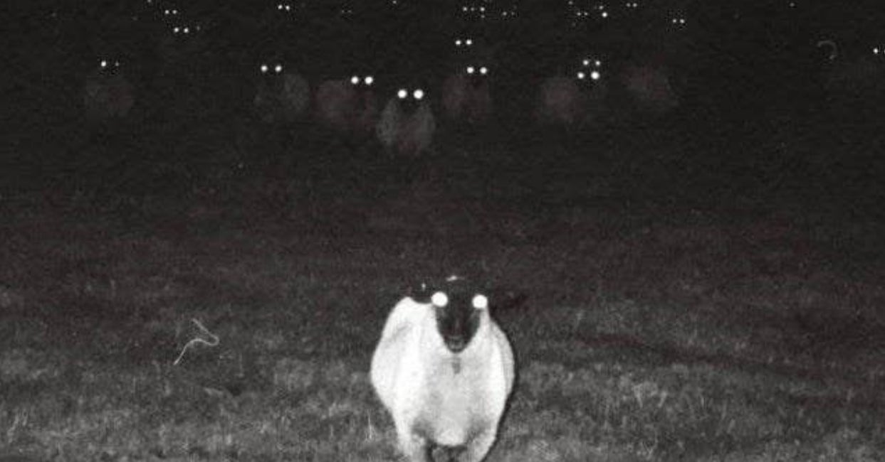 21 Of The Worst Cursed Images