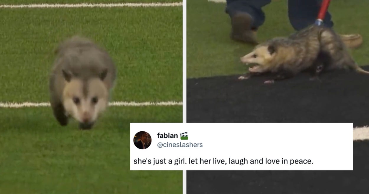 This Opossum Went Viral For Being Dragged Off A Football Field