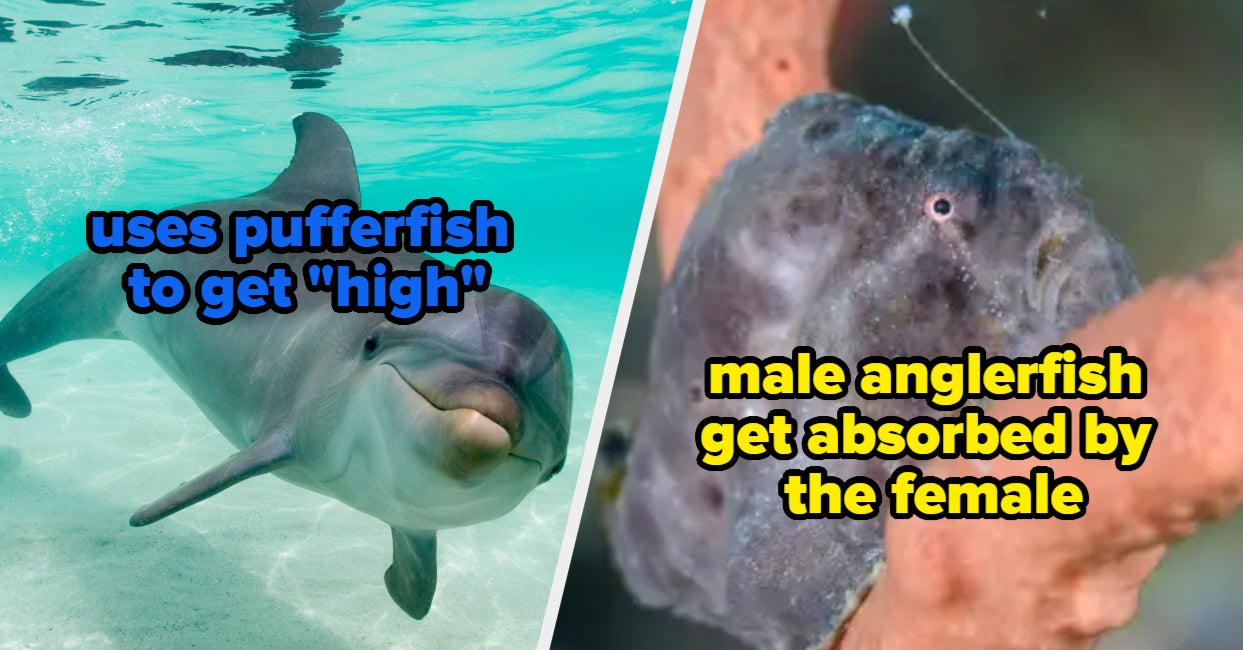 15 Strange And Unsettling Animal Facts