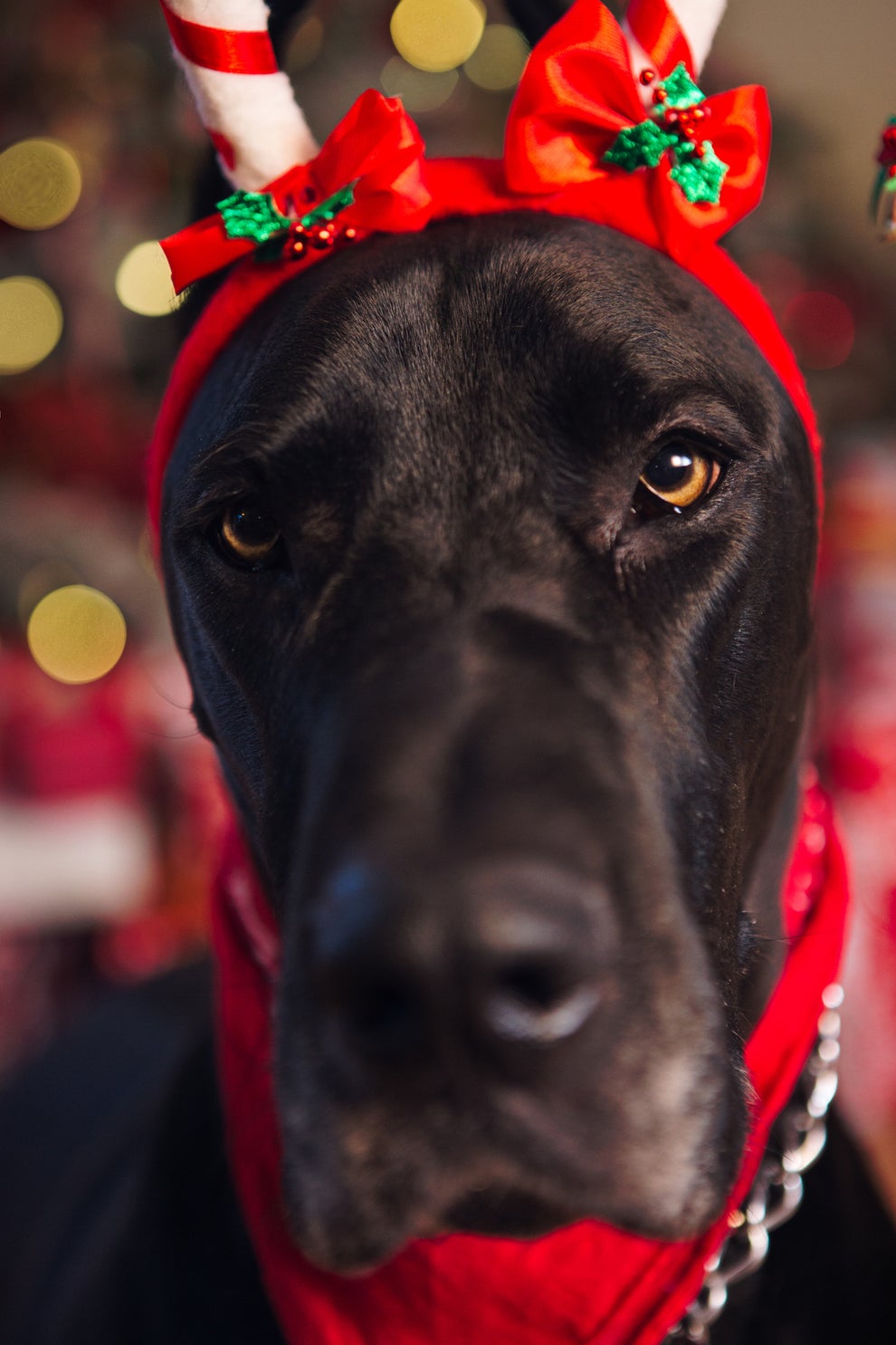 26 Disastrous Christmas Day Stories