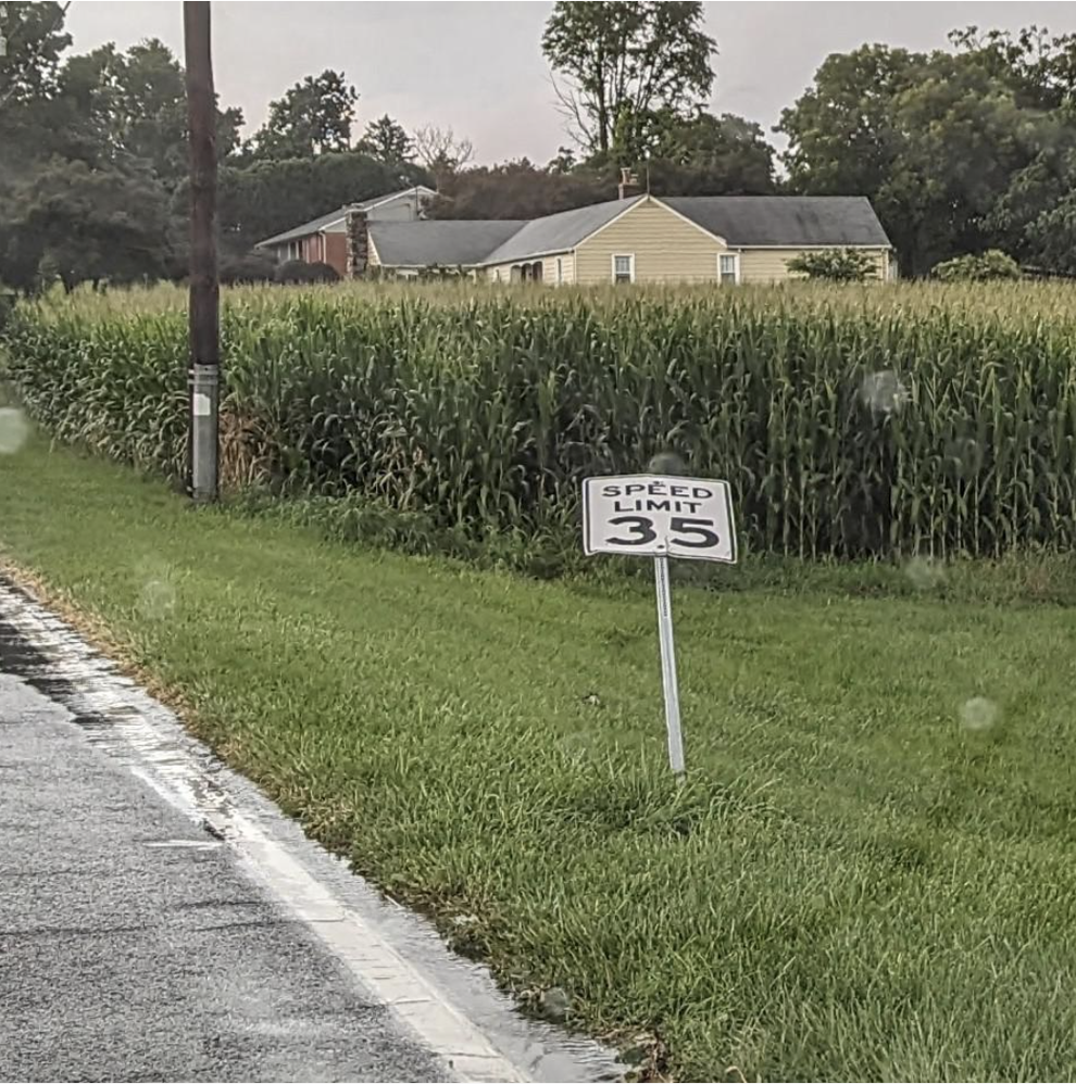 27 Hilariously Weird Kids