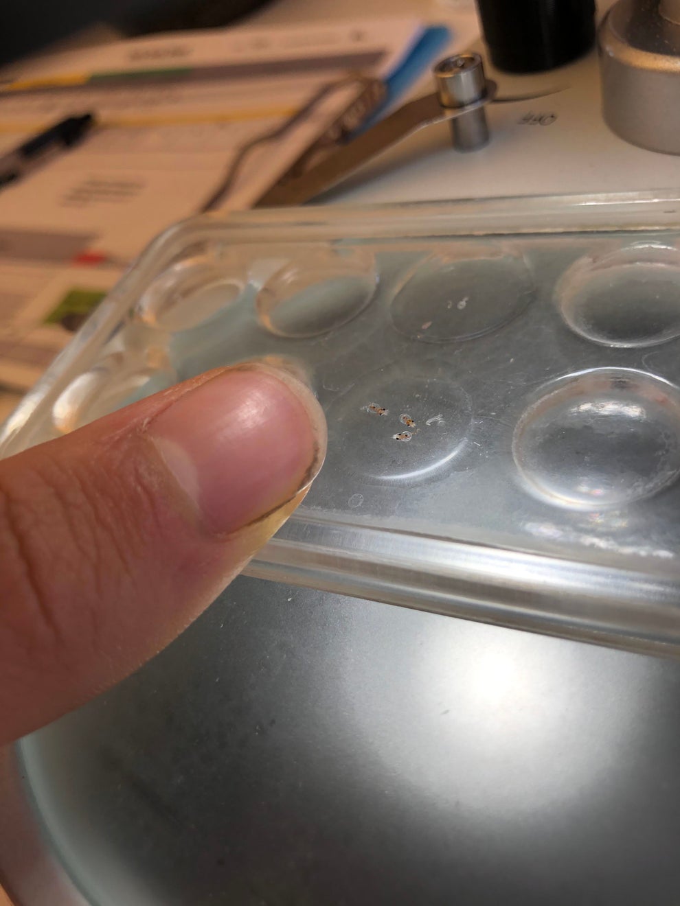 50 Extremely Fascinating Pictures That Will Completely And Totally Change Your Perspective On ...