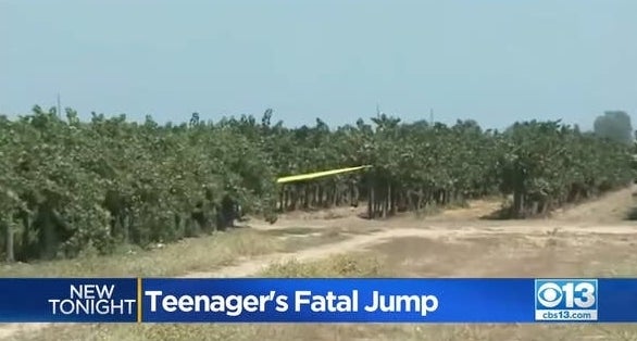 50 Of The Most Shocking Things I Found Out Recently