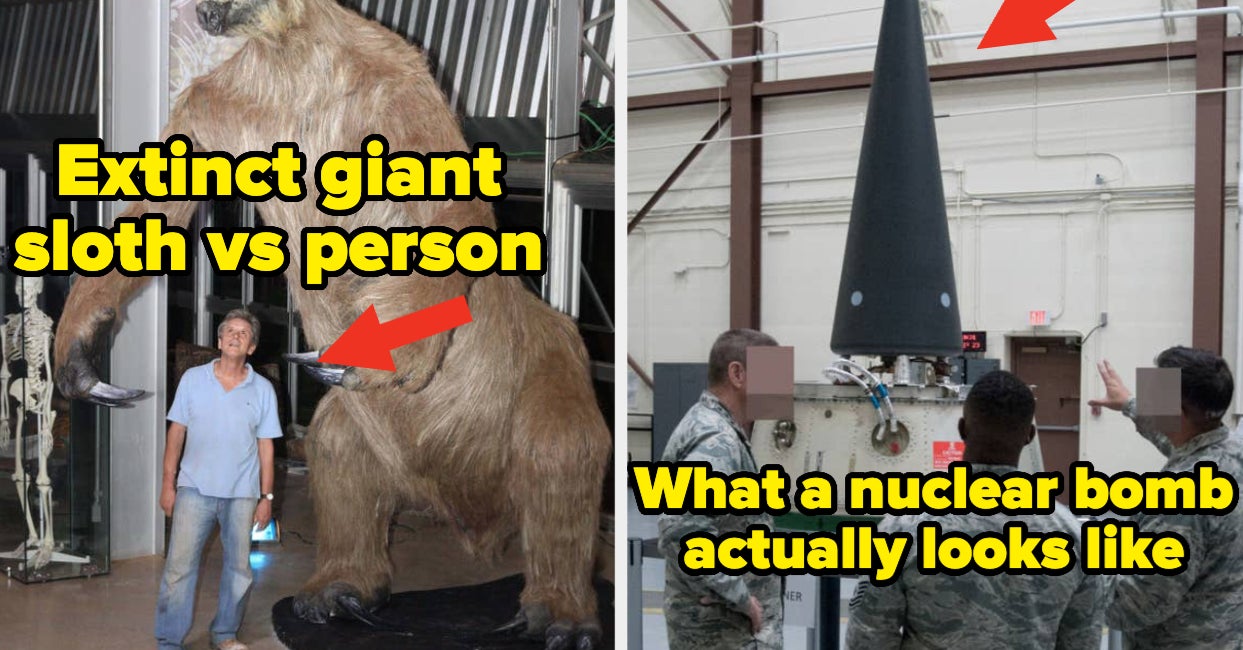 My Dumb Little Brain Is Completely And Totally Blown After Seeing These ...