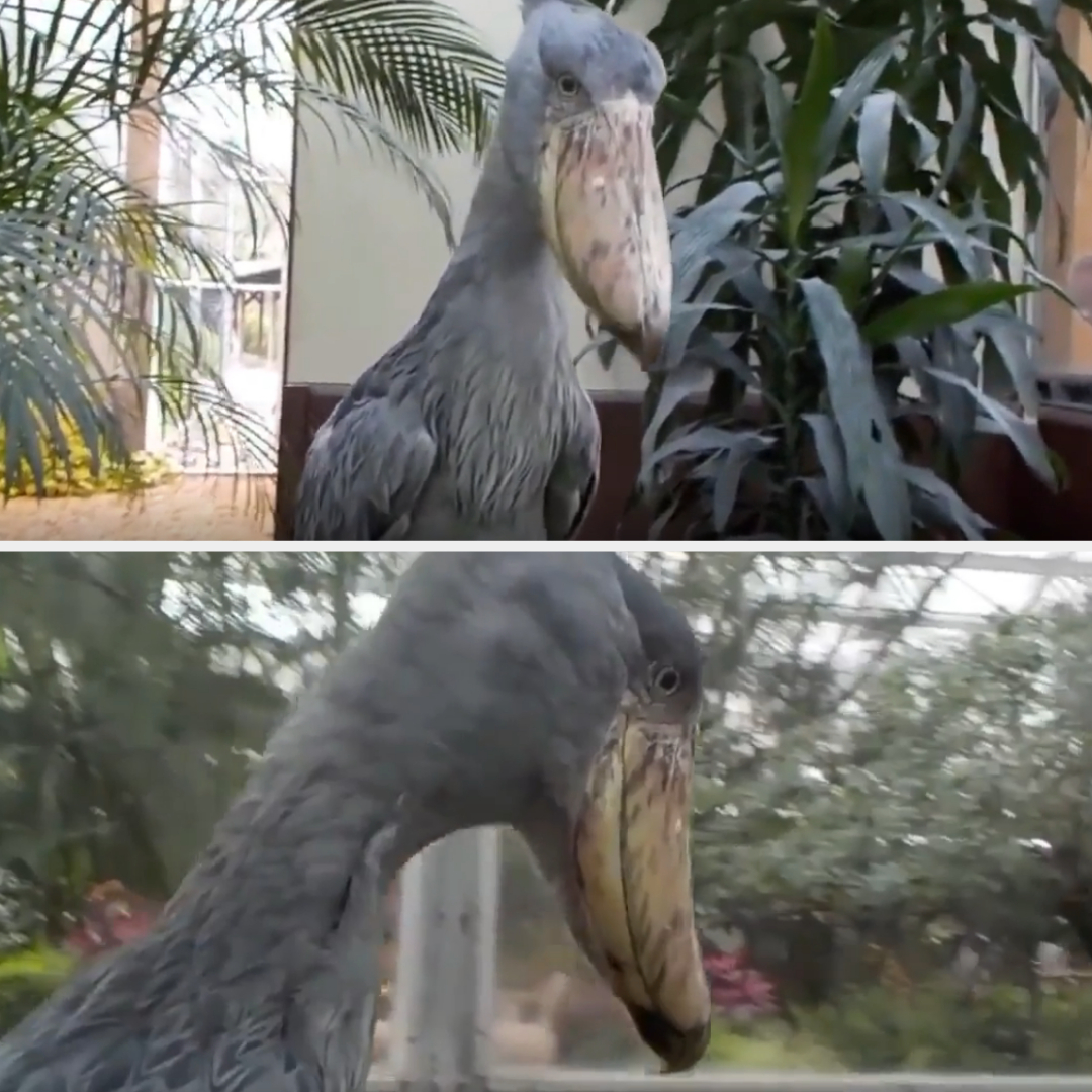 39 Photos That Made Me Go "NOPE"