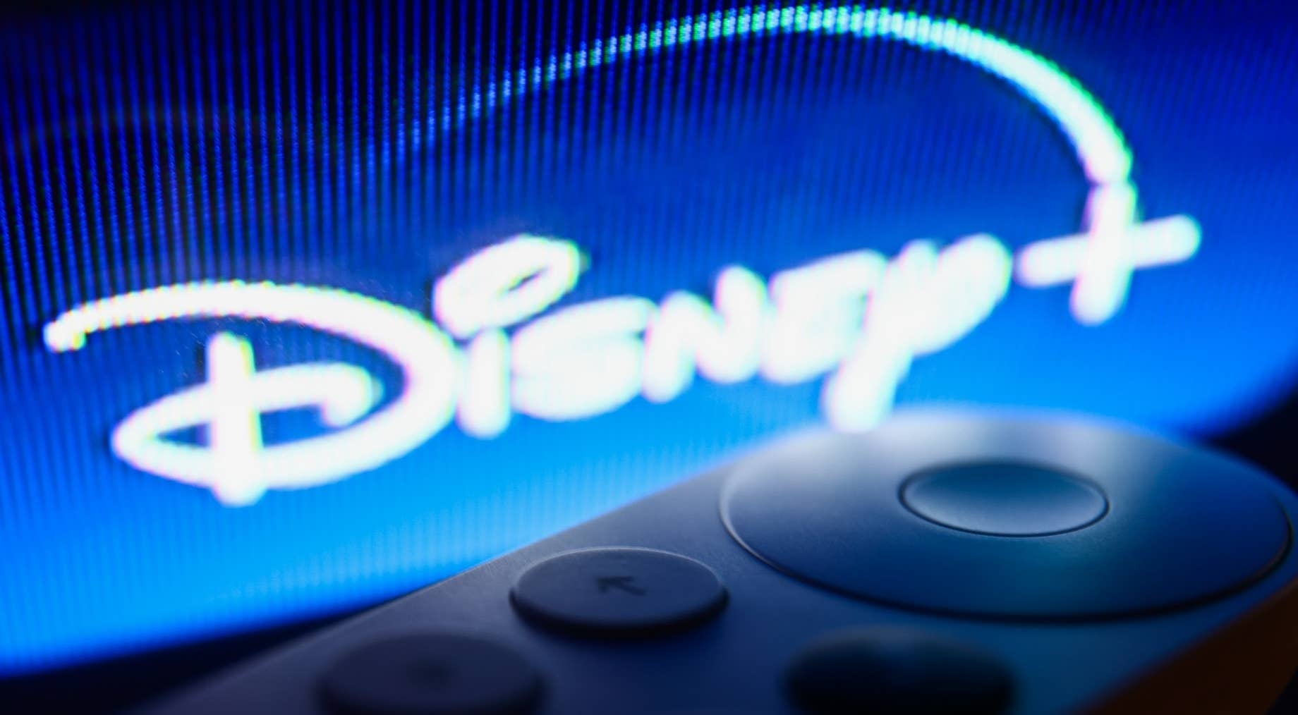 Family Planning Vacation to Disney Parks Accidentally Buys $10,000 in ...