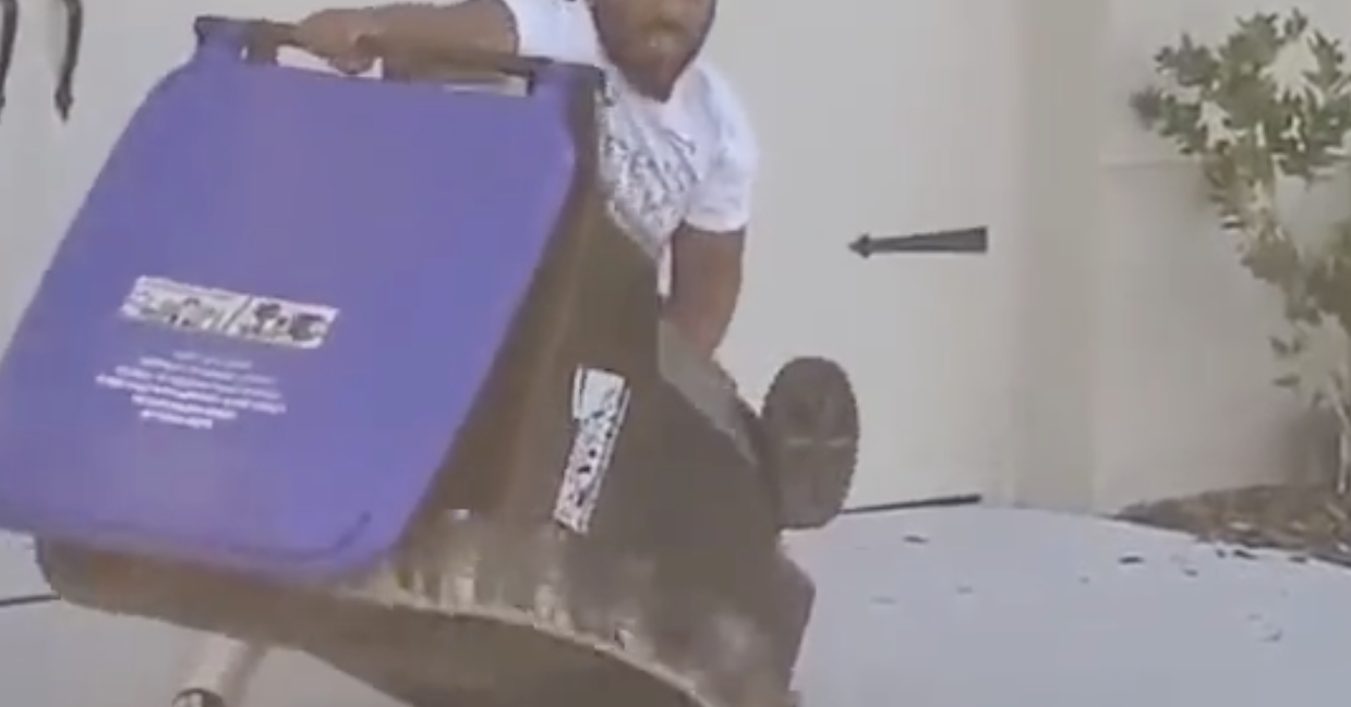 Florida Man vs. Alligator Video Inspires 'GTA VI' Jokes | Complex