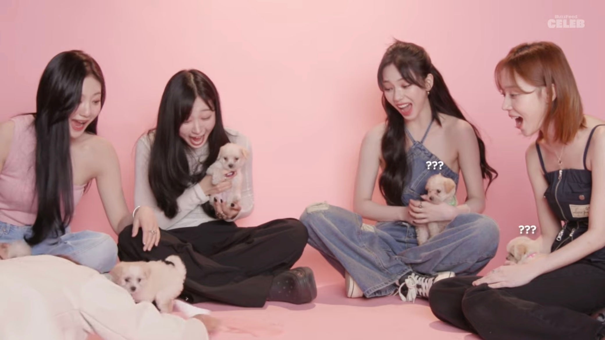 眼福すぎる♡ aespaが子犬と遊びながらインタビューに回答！「犬派？ 猫派？」究極の質問にメンバーはどう答える？