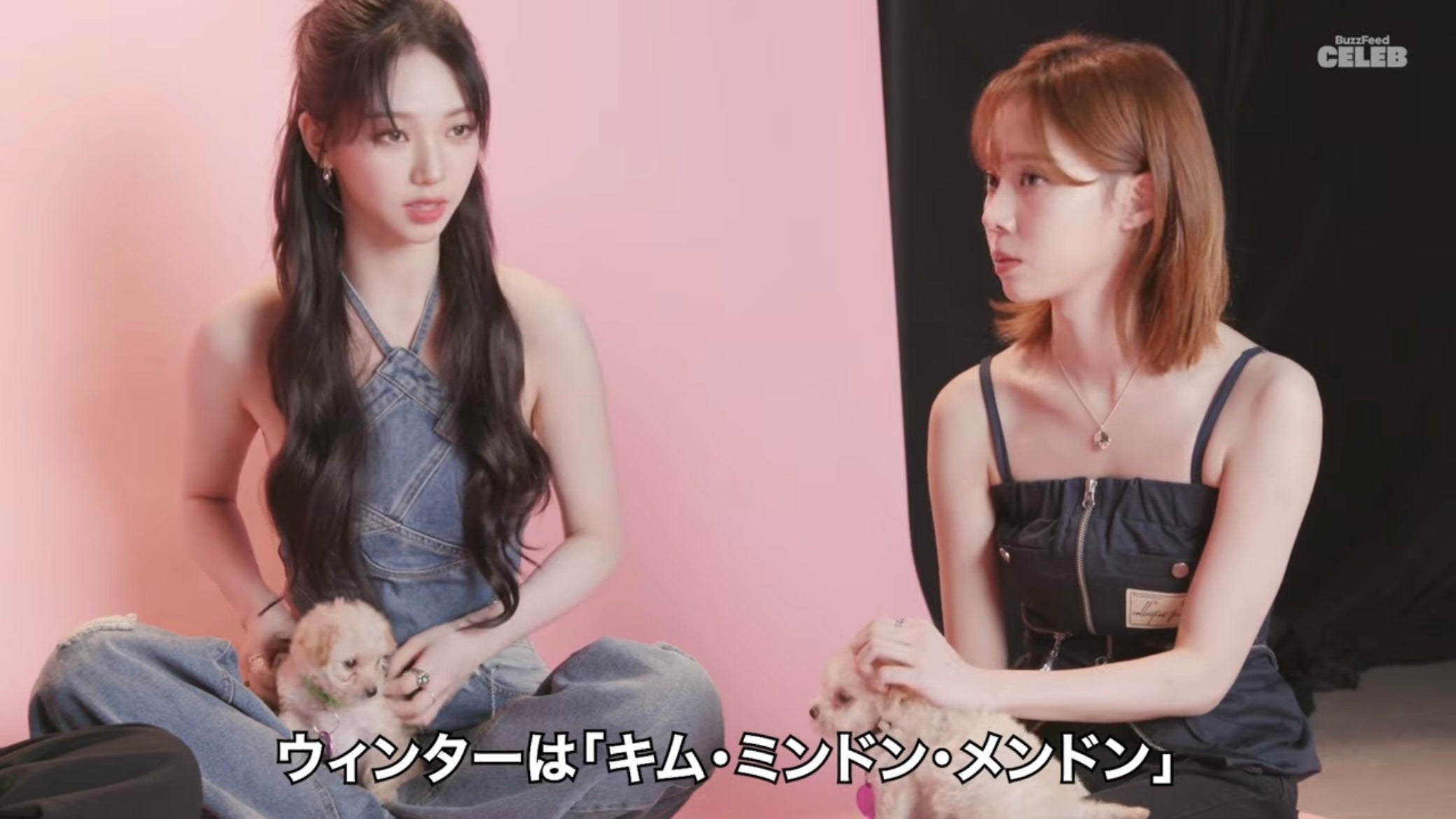 眼福すぎる♡ aespaが子犬と遊びながらインタビューに回答！「犬派？ 猫派？」究極の質問にメンバーはどう答える？