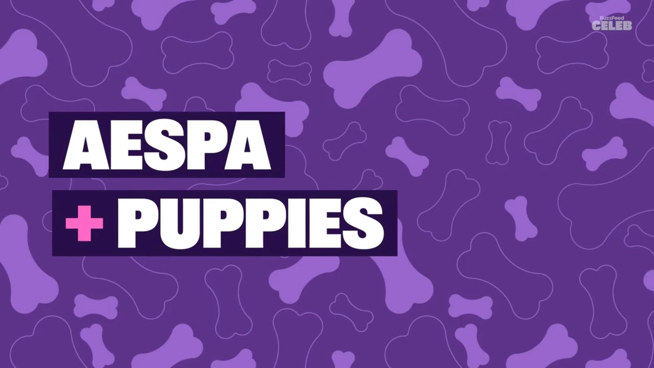 眼福すぎる♡ aespaが子犬と遊びながらインタビューに回答！「犬派？ 猫派？」究極の質問にメンバーはどう答える？