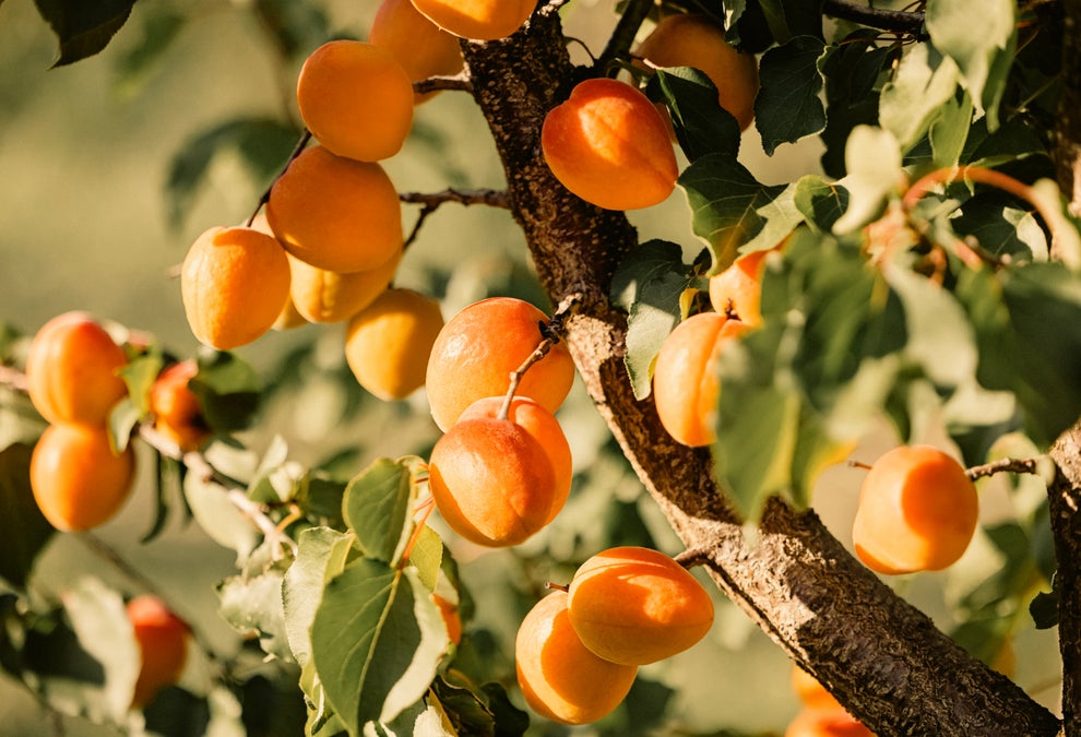 11 Things That Are In And Out For 2024