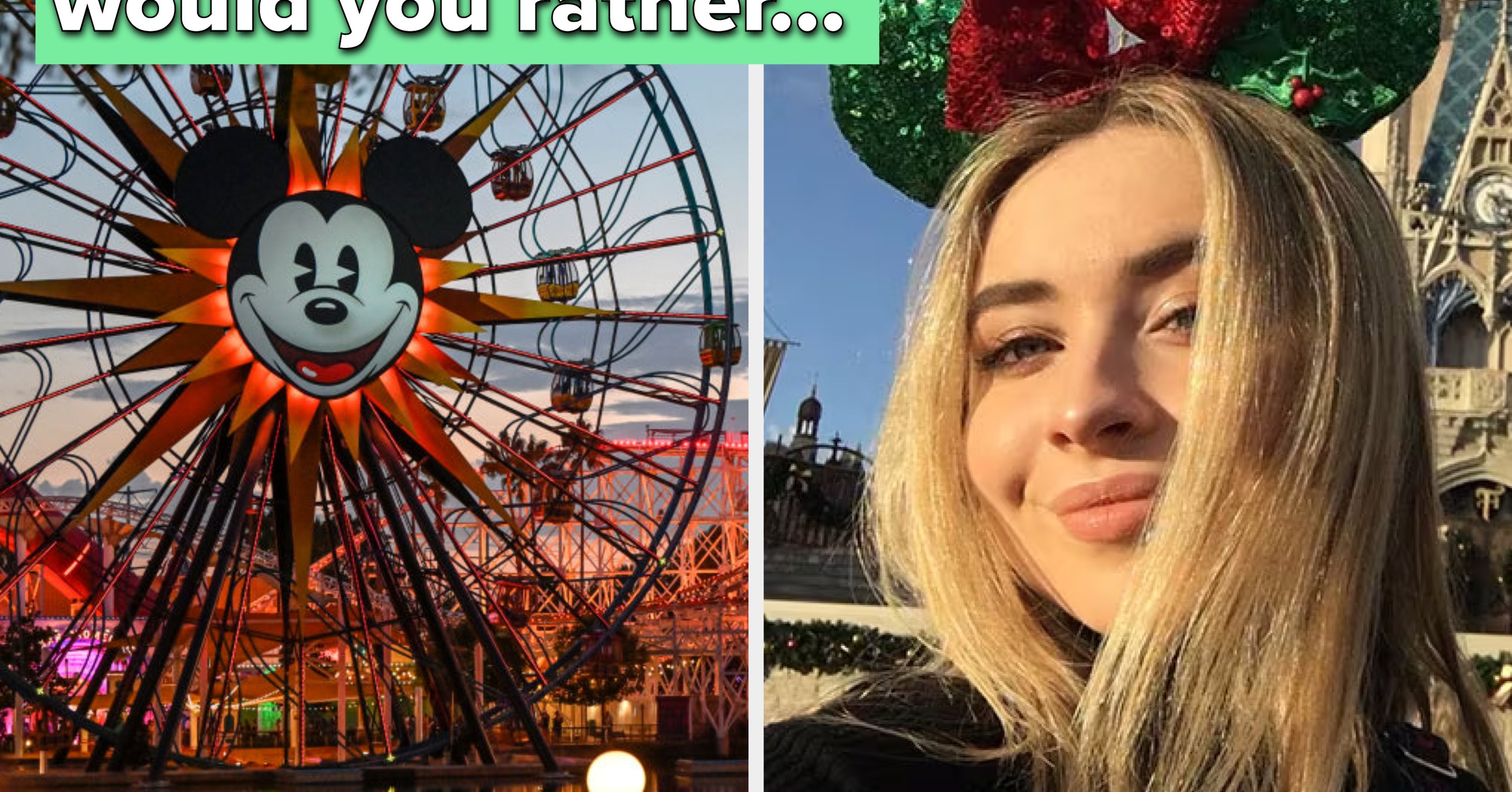 "Would You Rather" — Disney Theme Parks Edition