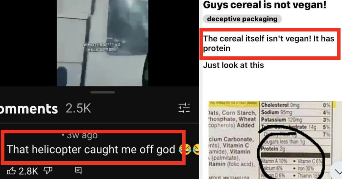 16 Dumbest Internet Posts Of 2024 So Far