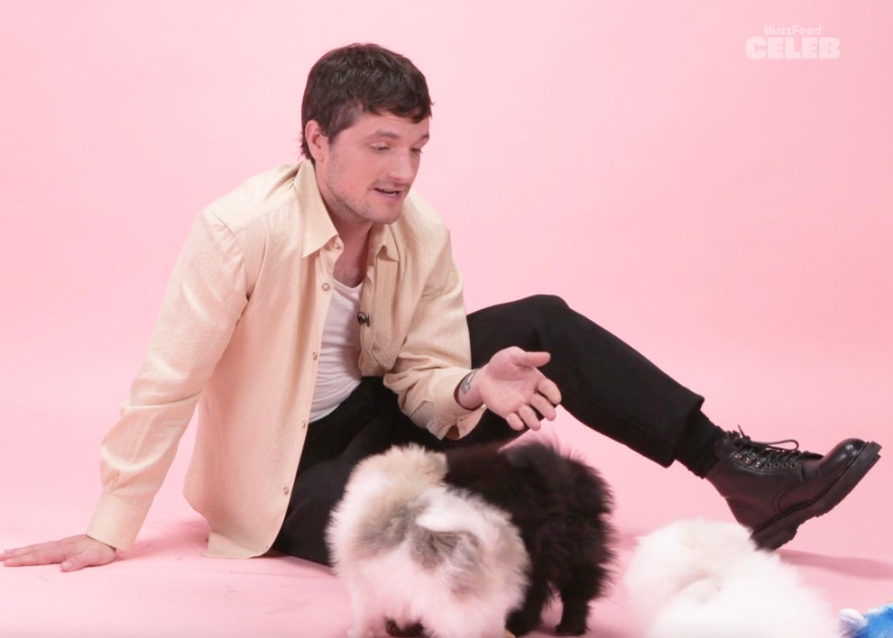 Josh Hutcherson Hunger Games Behind The Scenes Facts