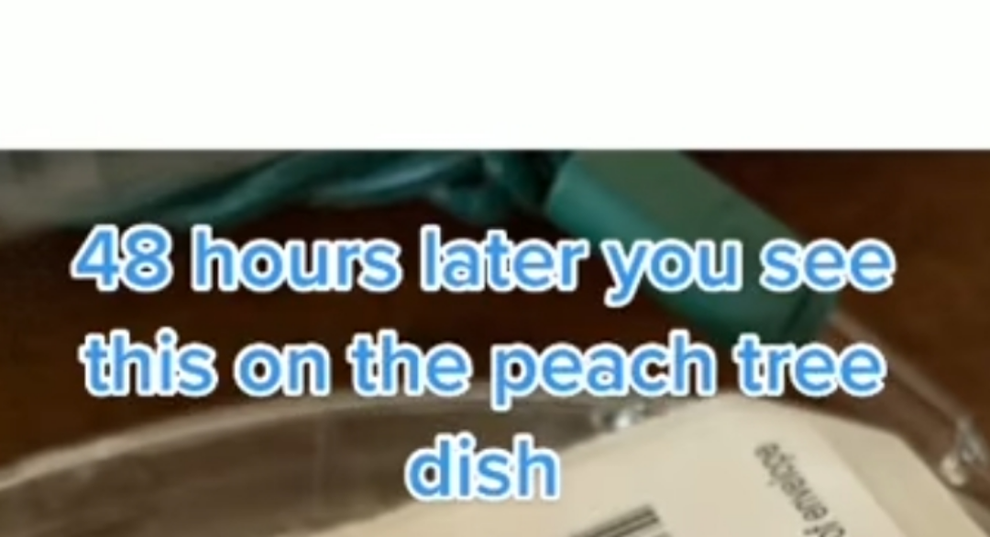 I Know I Shouldn't Laugh, But These 20 Extremely Dumb Things People ...