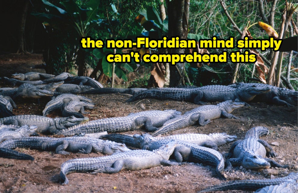 True And False Stereotypes About Florida, As Told By Local