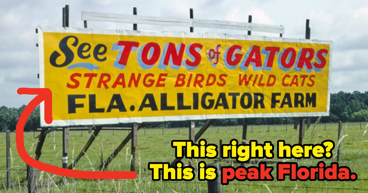 True And False Stereotypes About Florida, As Told By Local