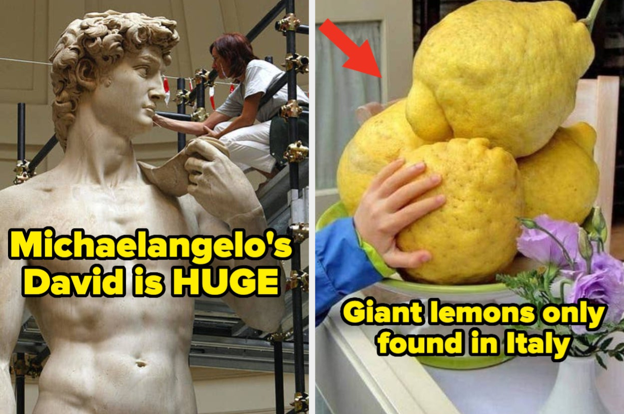 My Dumb Little Brain Just Got Completely Blown After I Saw These 50 ...