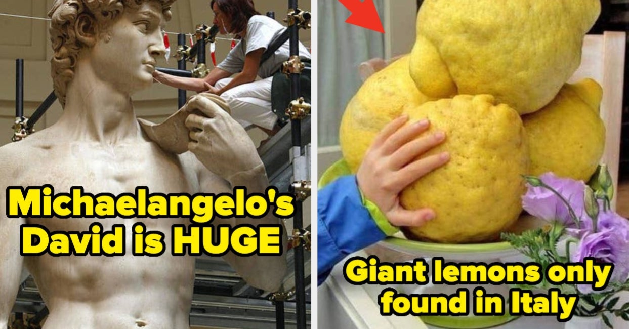 My Dumb Little Brain Is Completely And Totally Blown After Seeing These ...