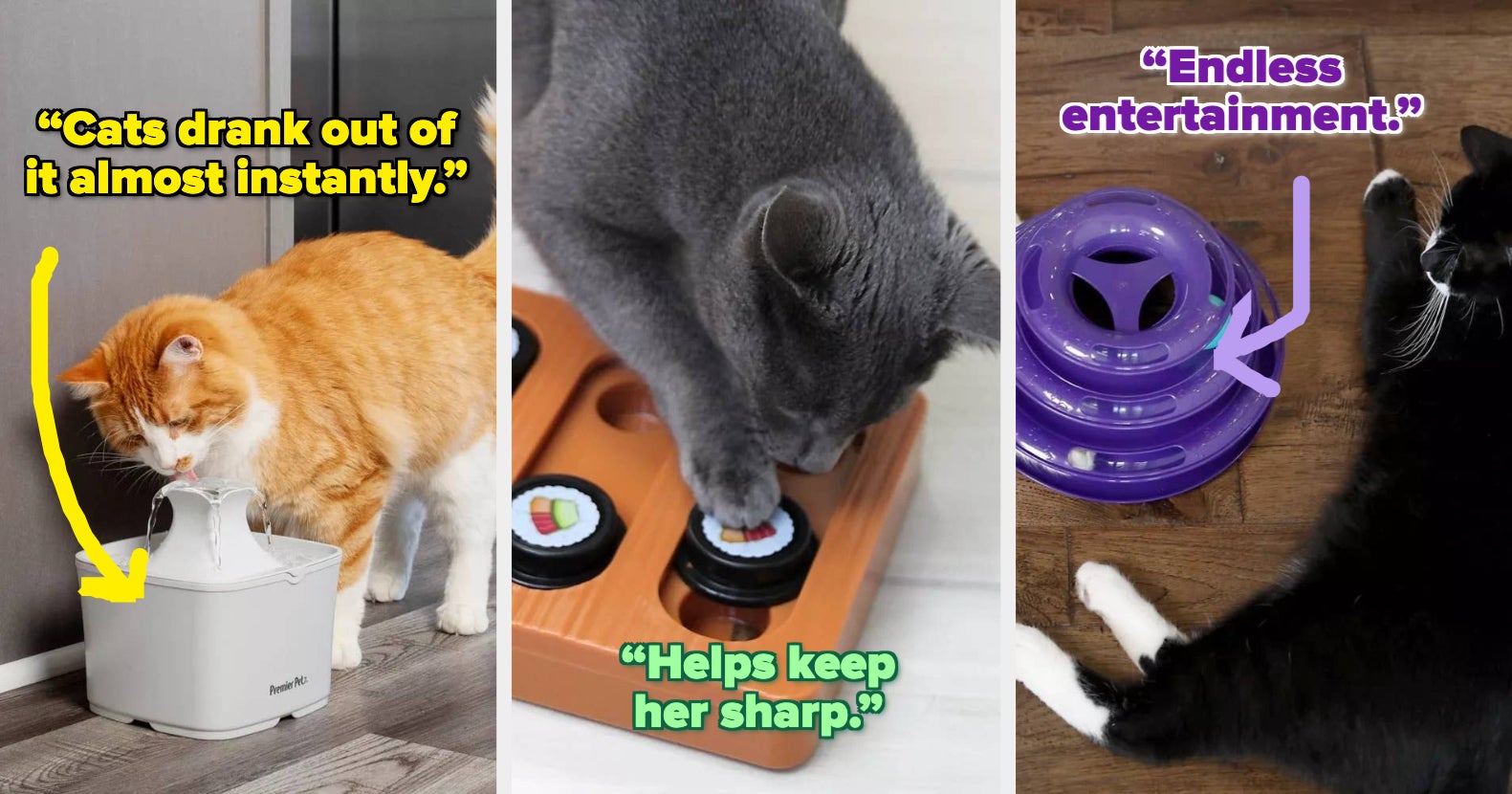 Say Goodbye To Cat-Related Stress With These 20 Useful Target Products
