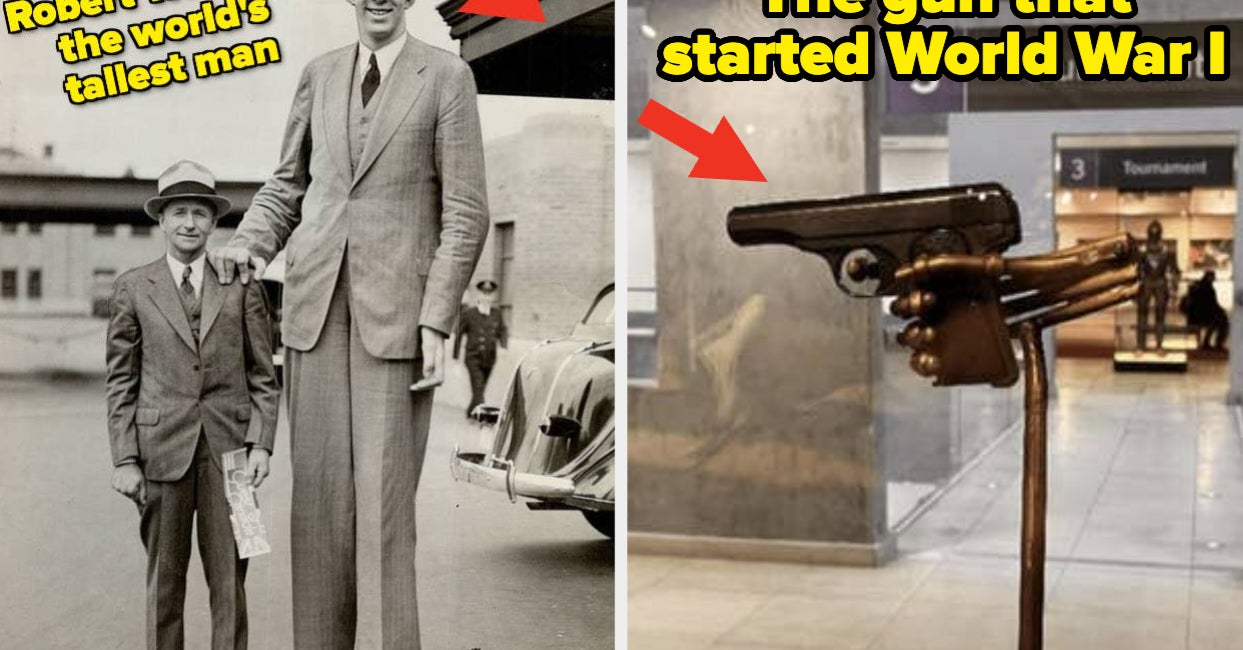 My Dumb Little Brain Just Got Completely And Totally Blown After Seeing ...