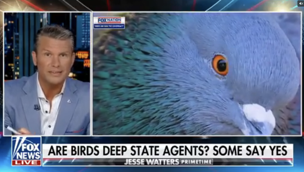 27 Wild Fox News Screenshots