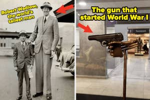 Dave Stopera (daves4) on BuzzFeed