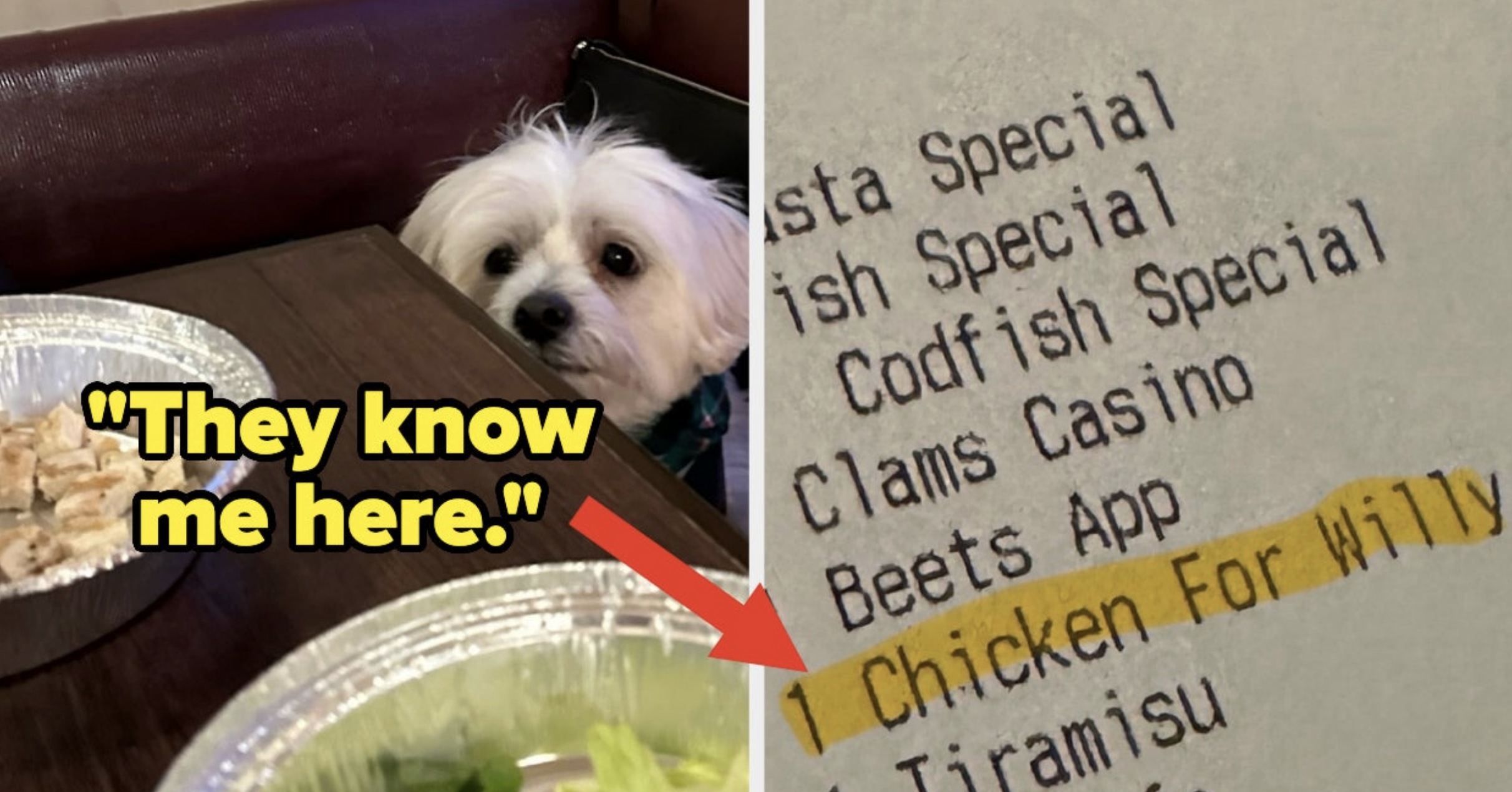 55 Funniest Tweets From January