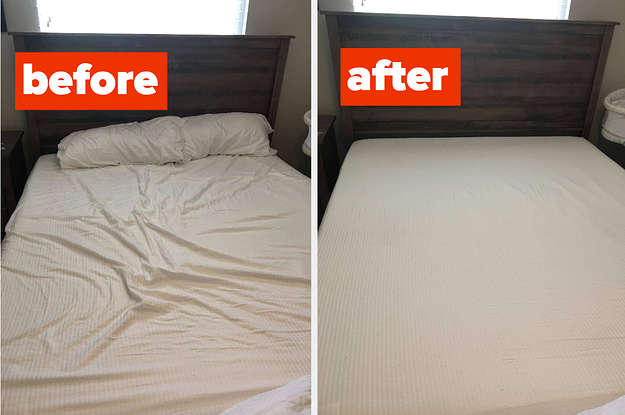 BuzzFeed Archive for January 30, 2024