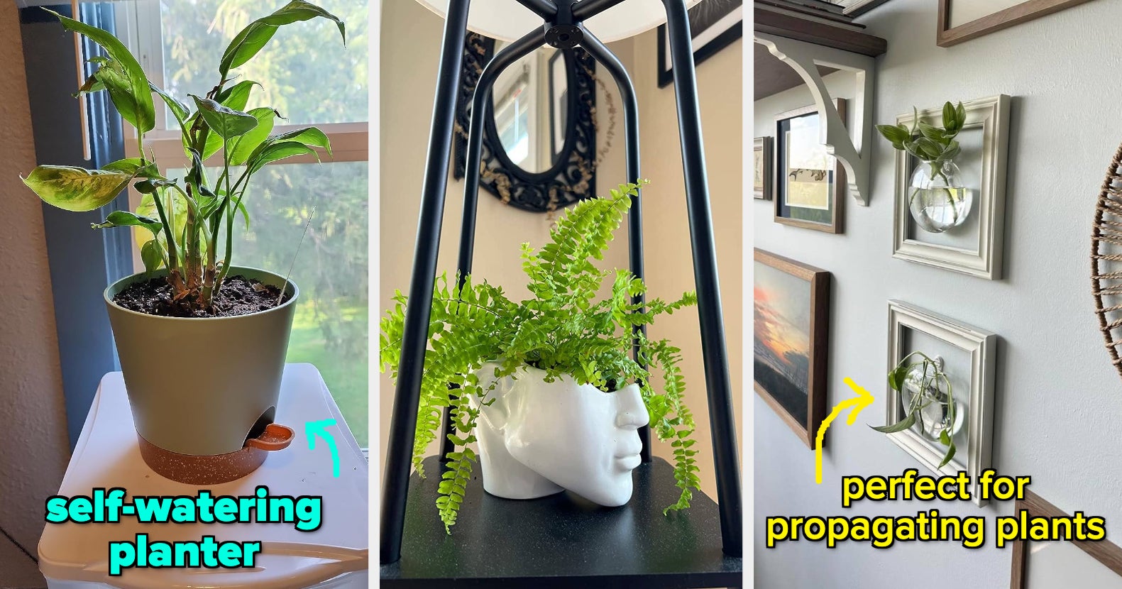 21 Best Cheap Planters & Pots Of 2024