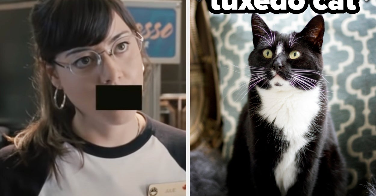 Plan Movie Marathon Reveal Inner Cat Quiz