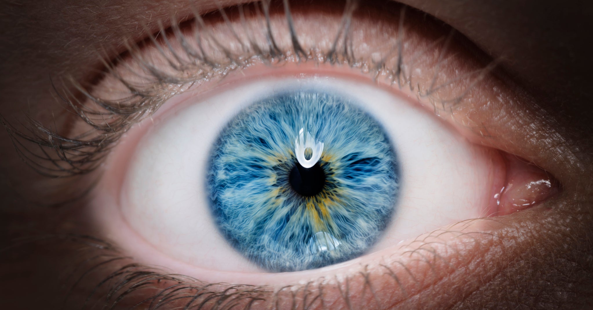 Can You See The Color Blue Better Than Most People?