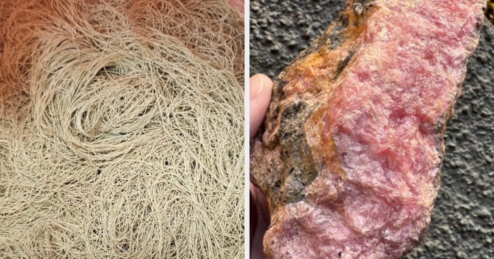 Forbidden Reddit Foods That Aren't Foods At All