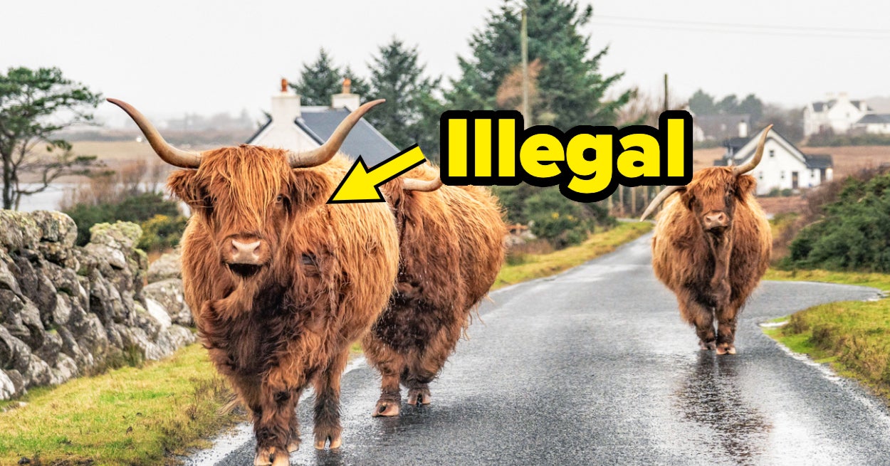 The 15 Weirdest Laws In The UK Still In Effect