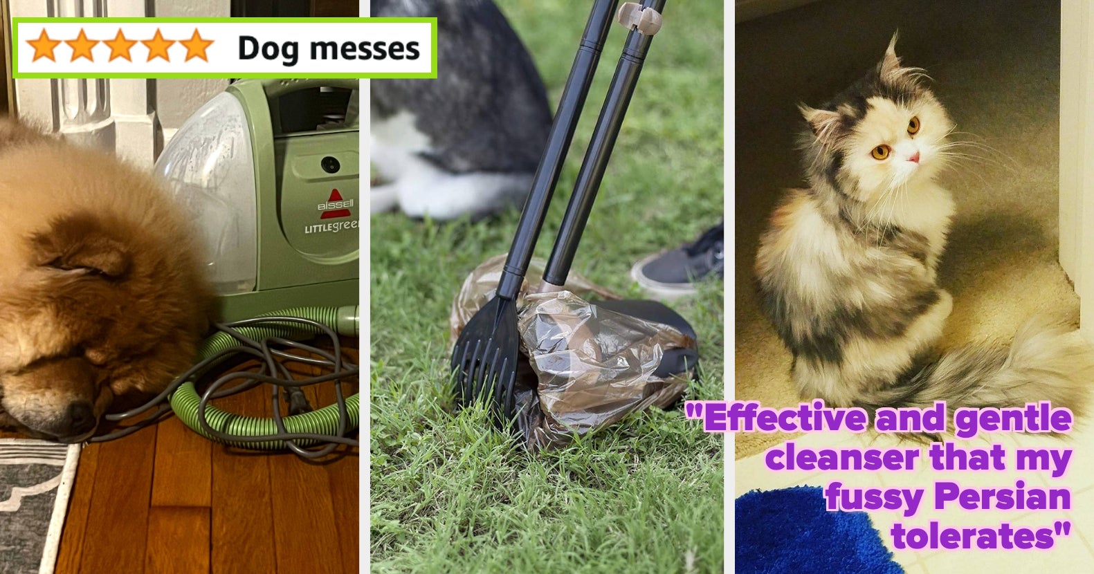 31 Products To Help You Deal With Gross Pet Issues