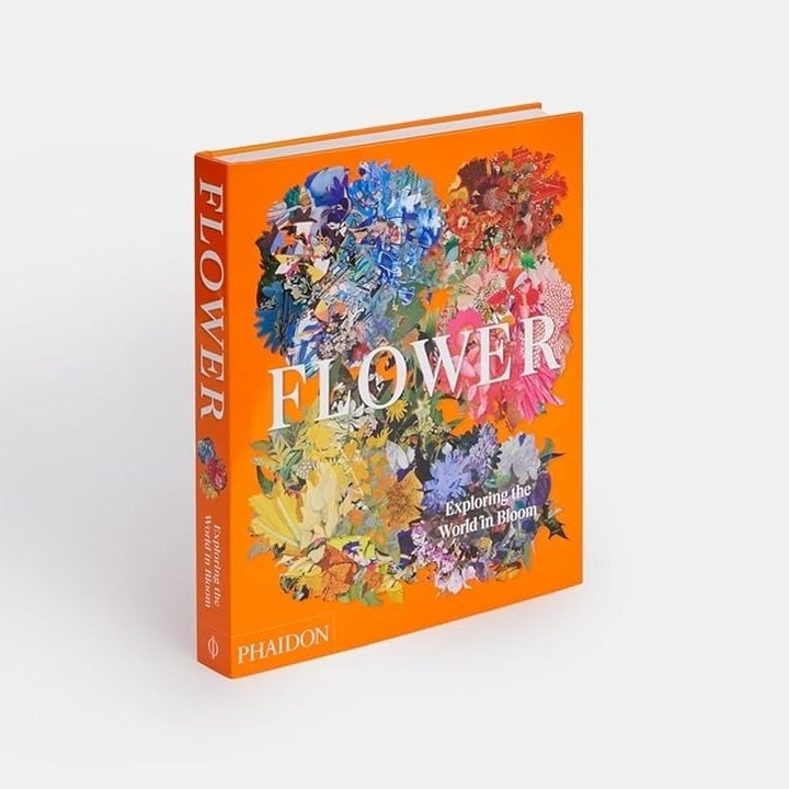 74 Best Coffee Table Books That Are Simply Stunning