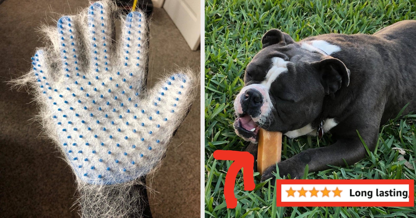 29 Cheap Pet Products That'll Be Around For A Long Time