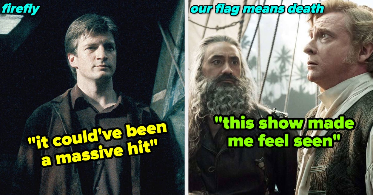 Canceled TV Shows That Should've Gotten Another Season