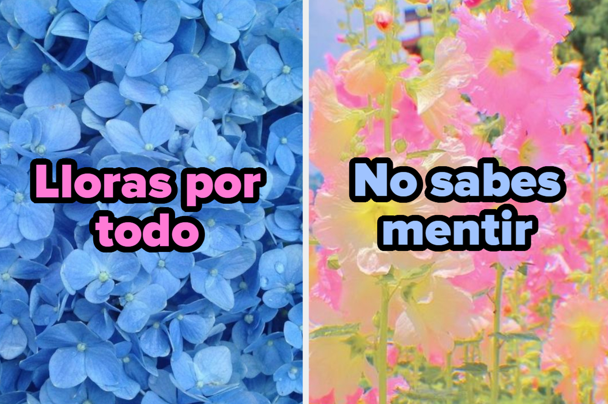 Test: Te diré cinco cosas random sobre ti