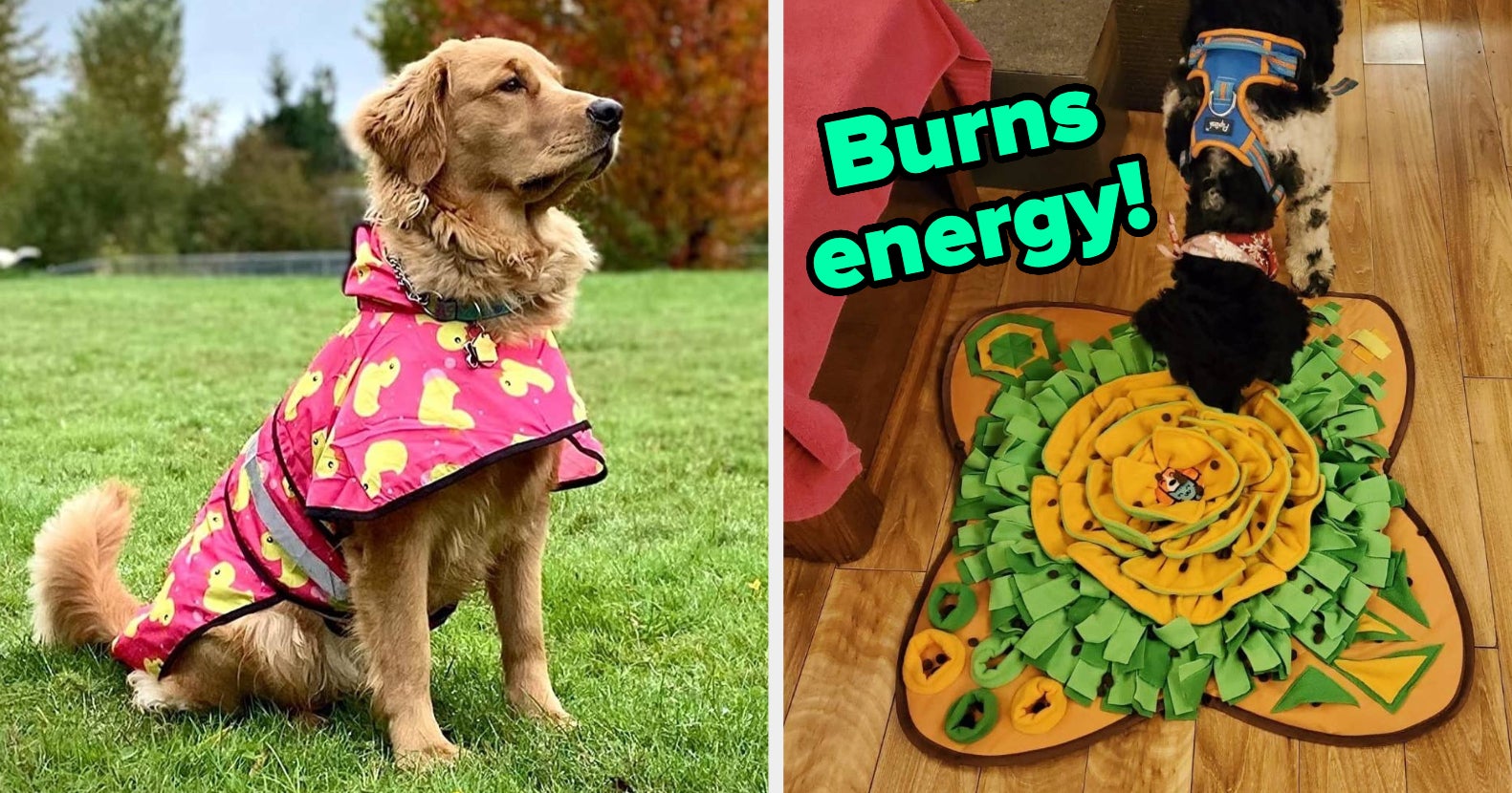 27 Handy Products That Come Highly Recommended By Reviewers With Big Dogs