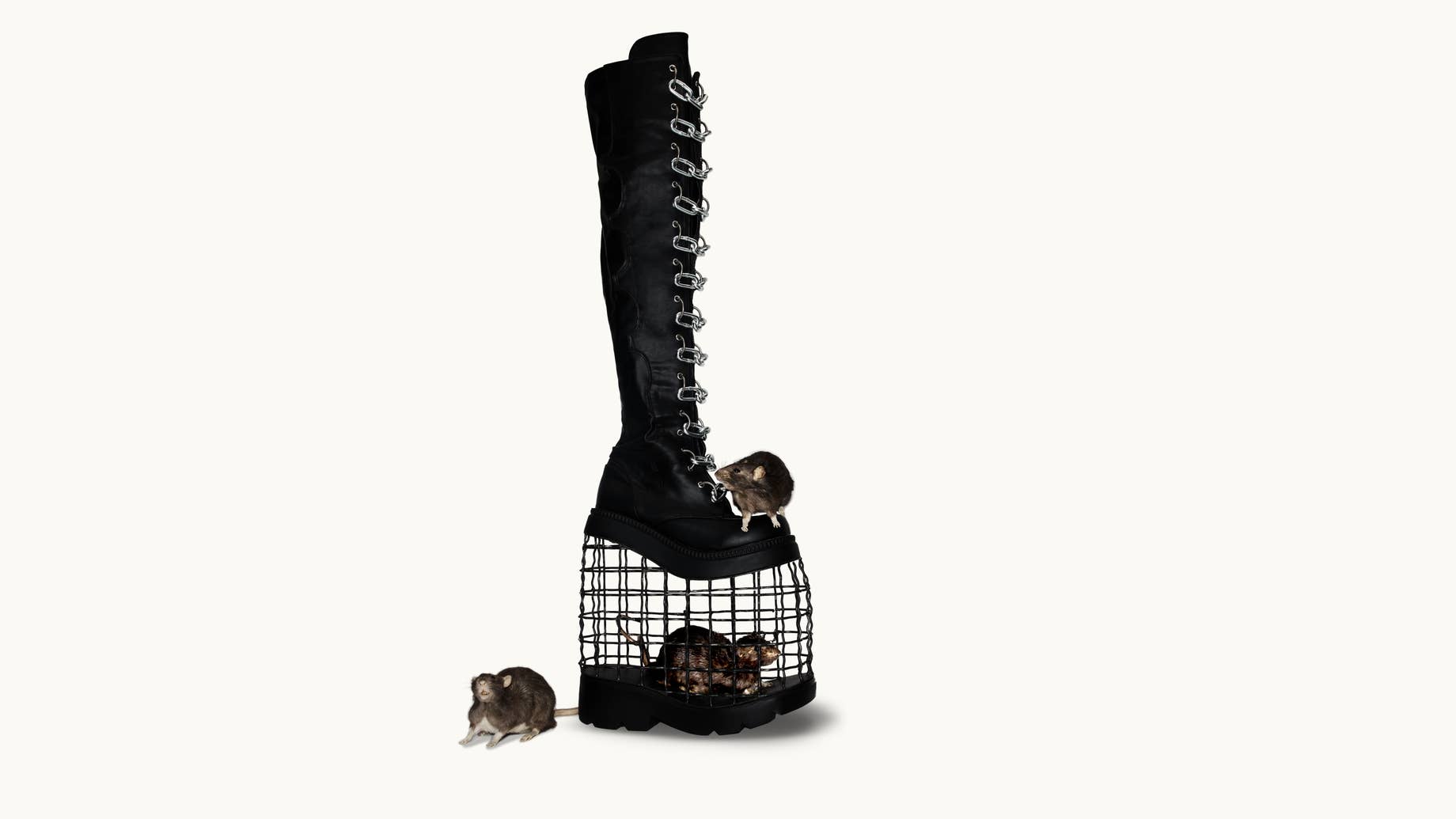 RATBOOT, a Boot That Features Stuffed Rats, Turns Heads During New York ...