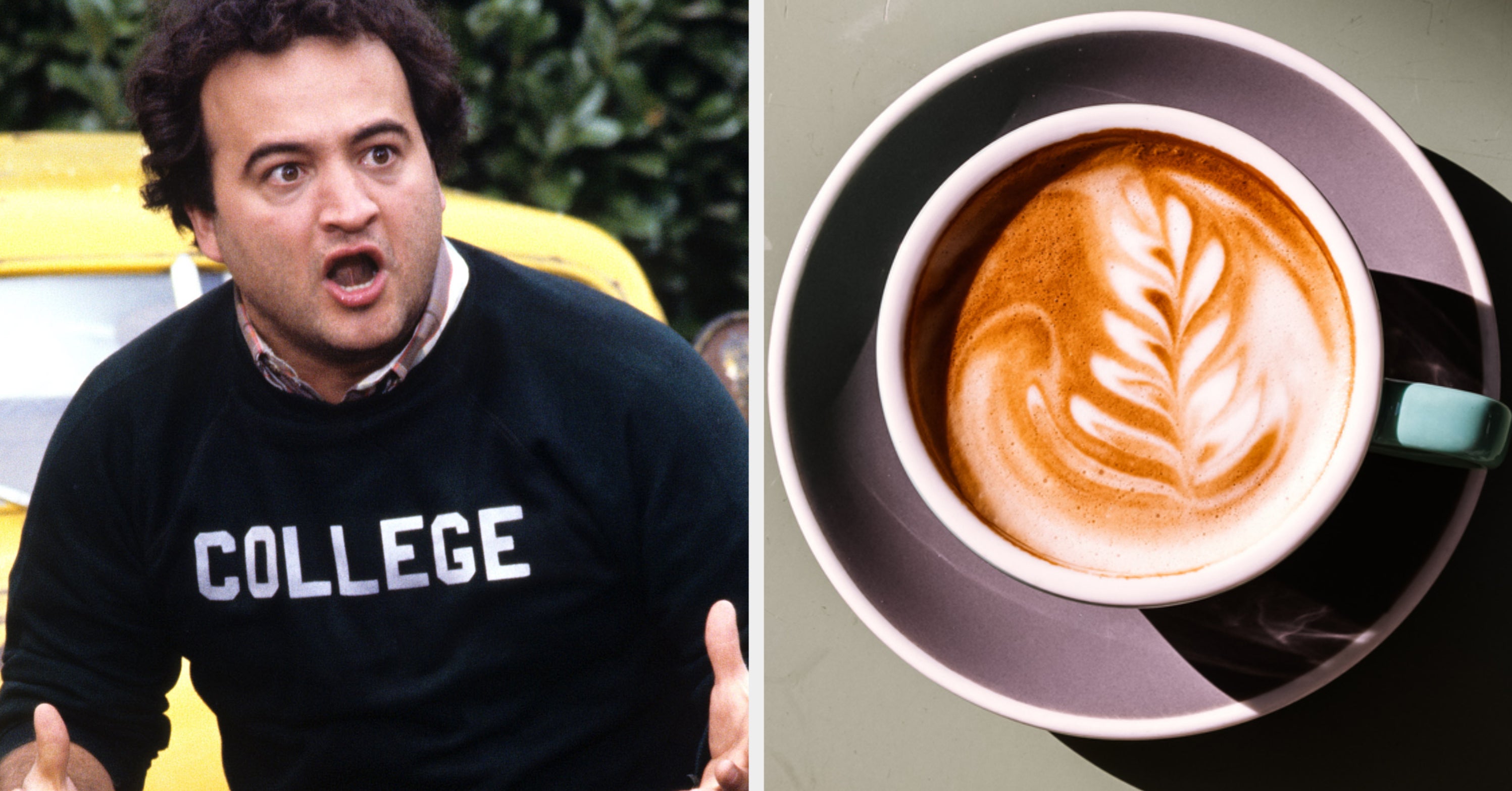 Design Your Dream Coffee Shop to Discover Your Ideal College Major