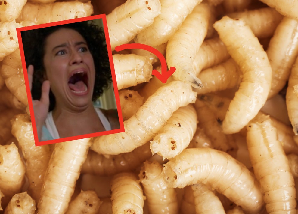 Maggots Fall On Passengers On Delta Flight