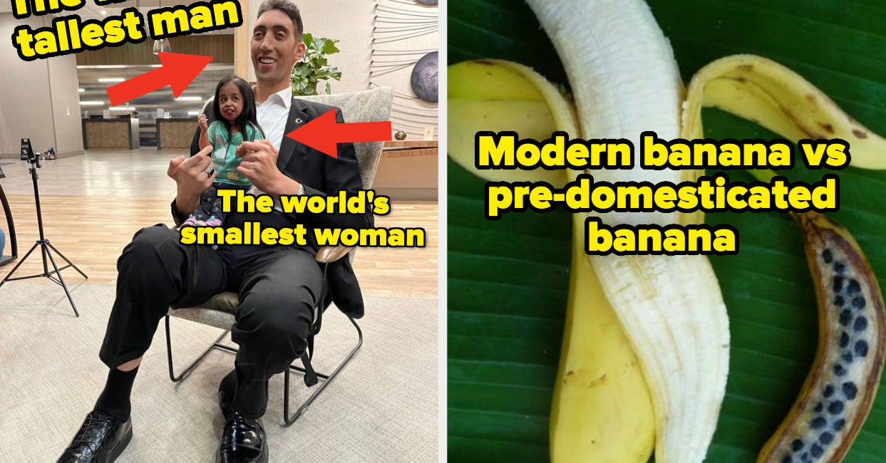 19 Extremely Random Things I Just Found Out That Completely And Totally ...