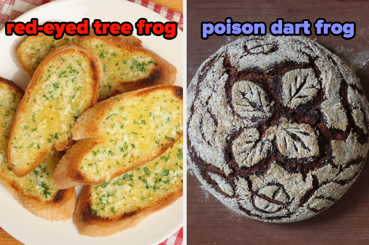 Food Quizzes on BuzzFeed