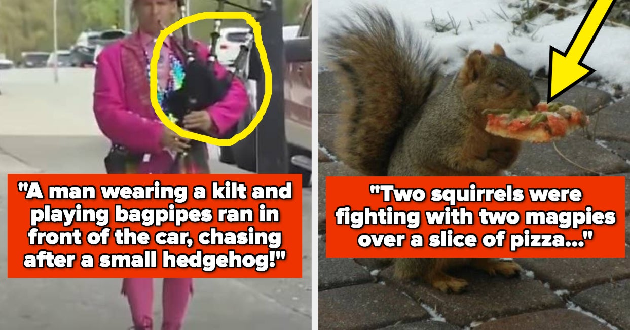 21 People Share Inexplicably Bizarre Moments