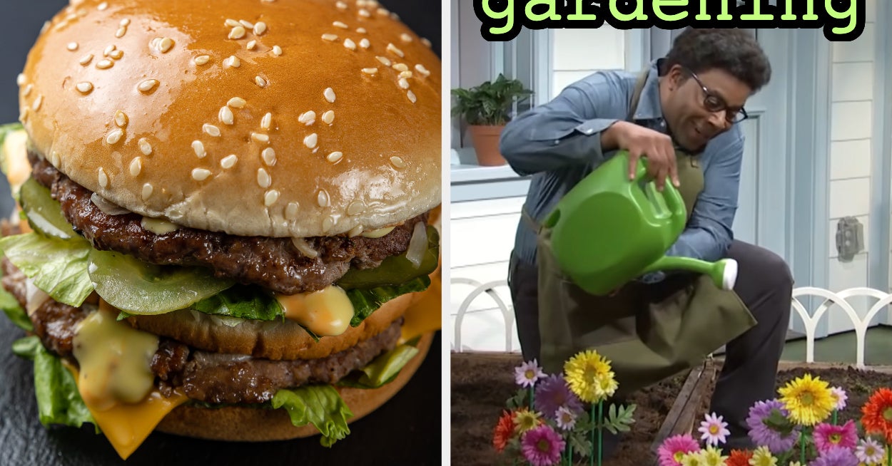 Food Quiz: Eat Meals Get Hobby
