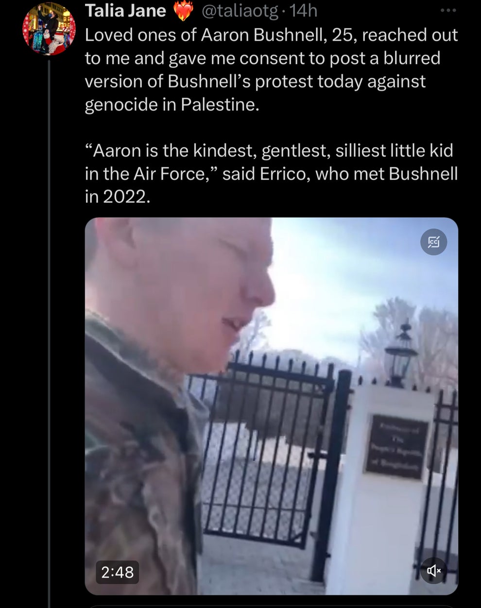 'Free Palestine!': U.S. Airman Dies After Setting Self on Fire in ...