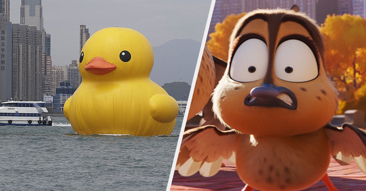Inner Duck Animal Personality Quiz